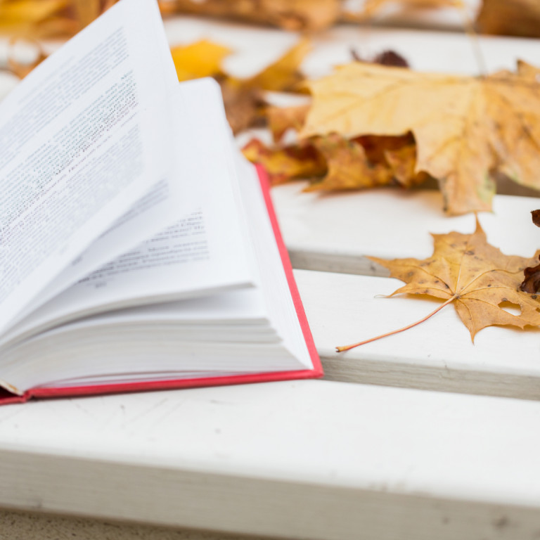 50 Best Fall Books to Read for a Cozy Autumn 2024