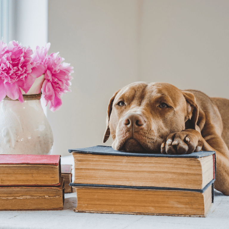 500 Famous Literary Dog Names from Books 2025