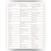 Iron Flame Dragons and Creatures: Guide With Printable PDF