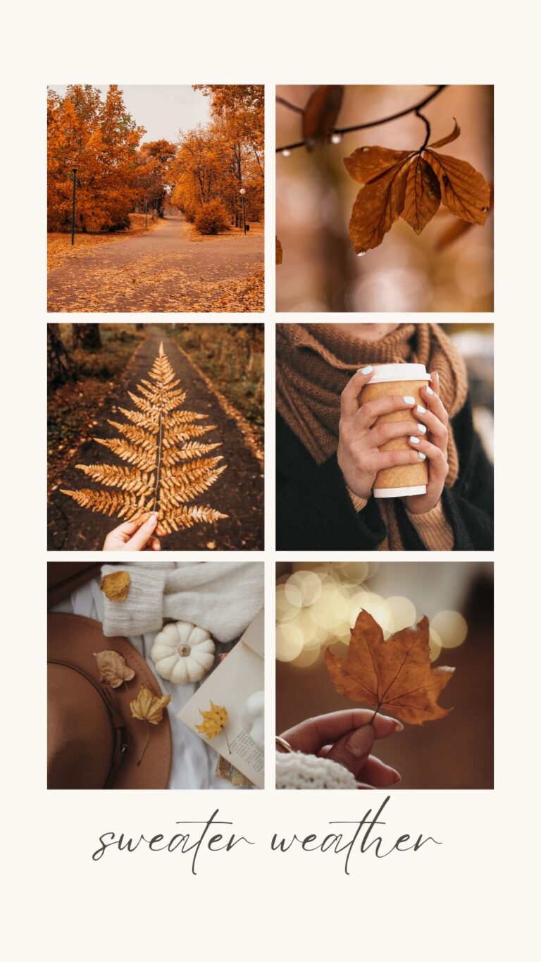 101 Short Fall Quotes for an Inspirational Autumn Season