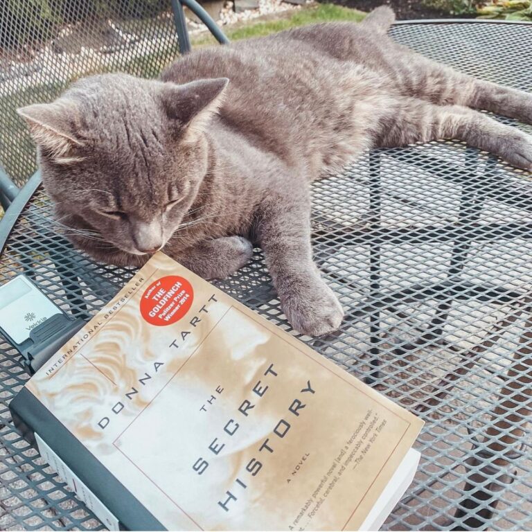 25 Best Fall Books for Adults to Read and Feel Cozy