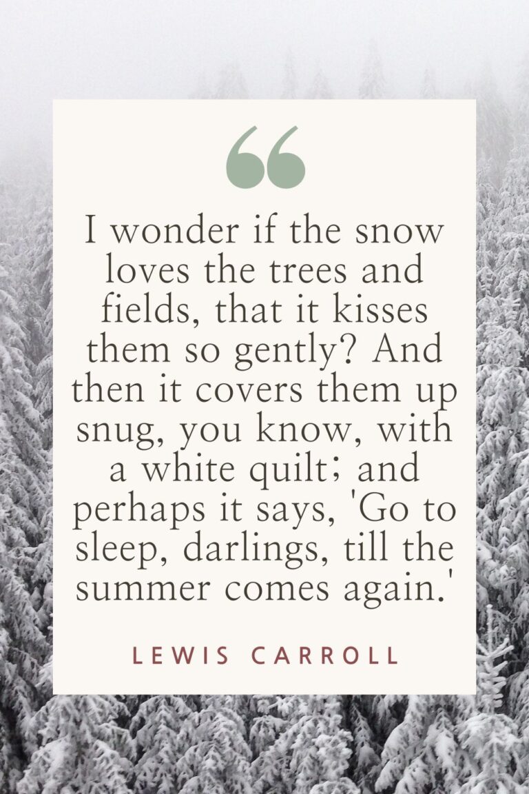 55 Cozy Literary Winter Quotes From Famous Books