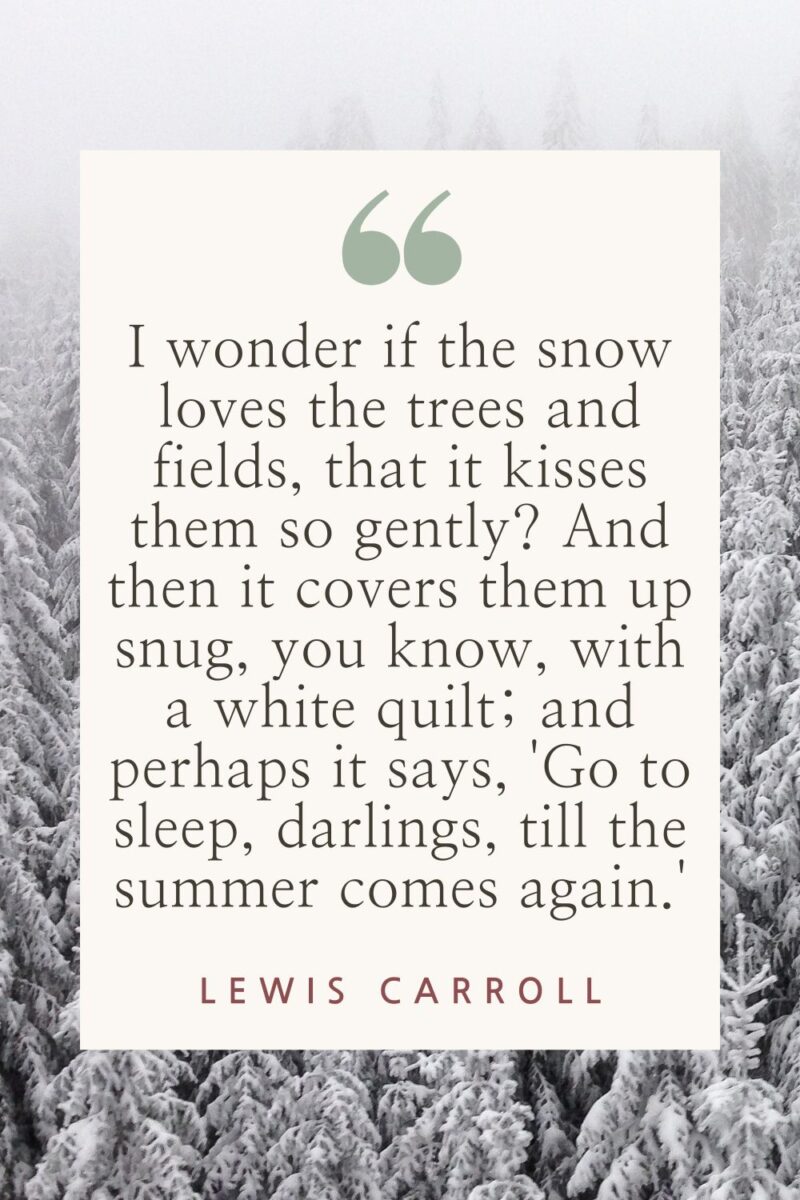 55 Cozy Literary Winter Quotes From Famous Books