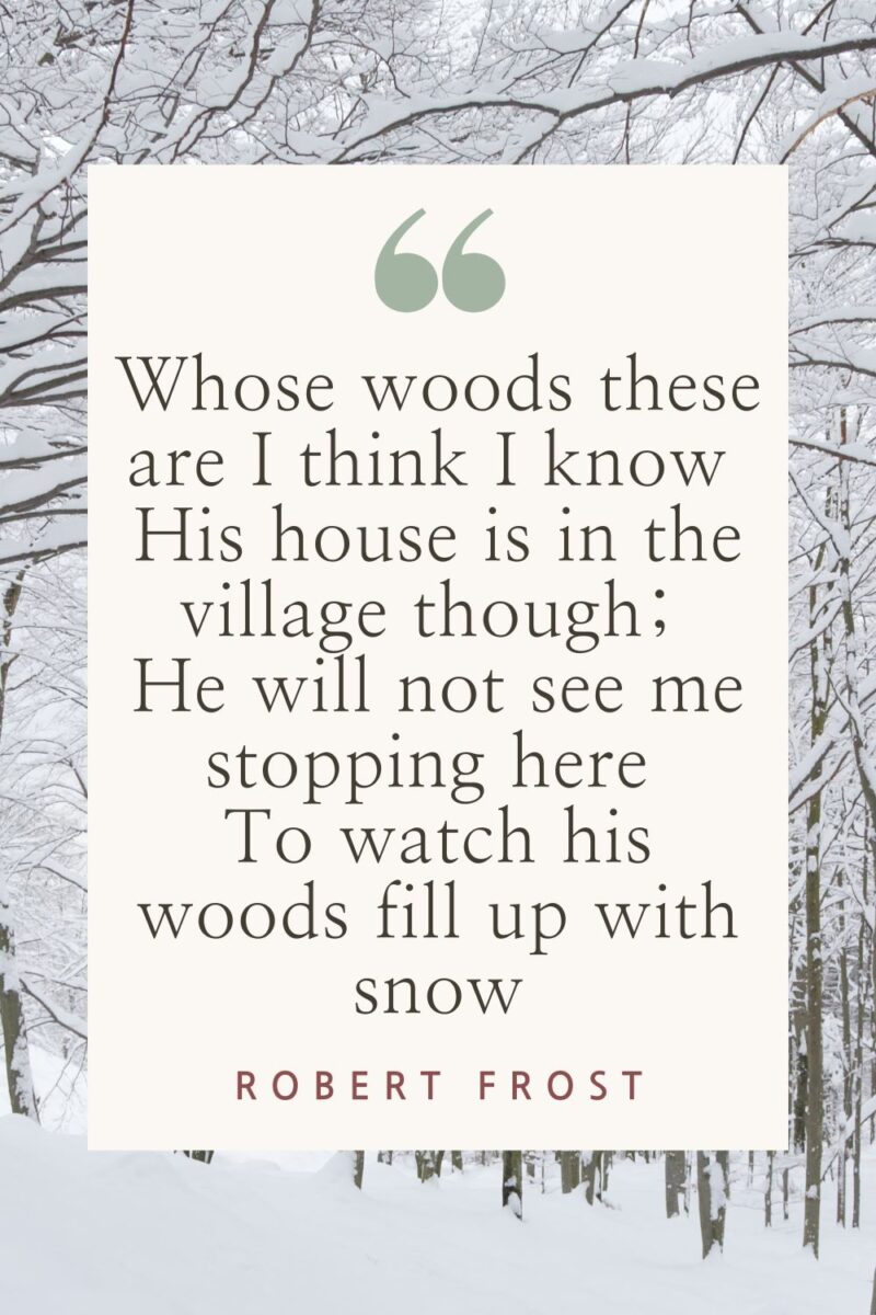 55 Cozy Literary Winter Quotes From Famous Books