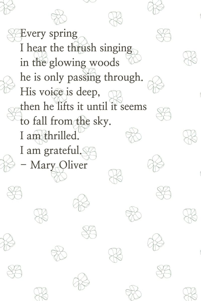 25 Short and Inspirational Spring Quotes (From Books)